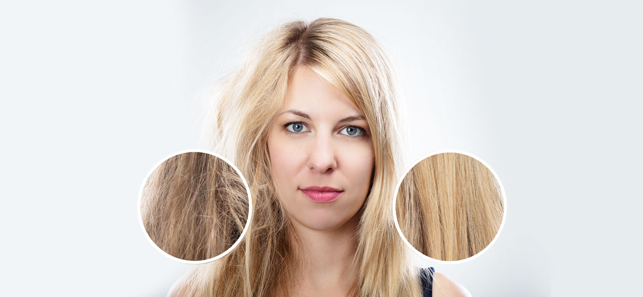 Bond Protectors & Protein Treatments, What is the difference? | Beauty ...